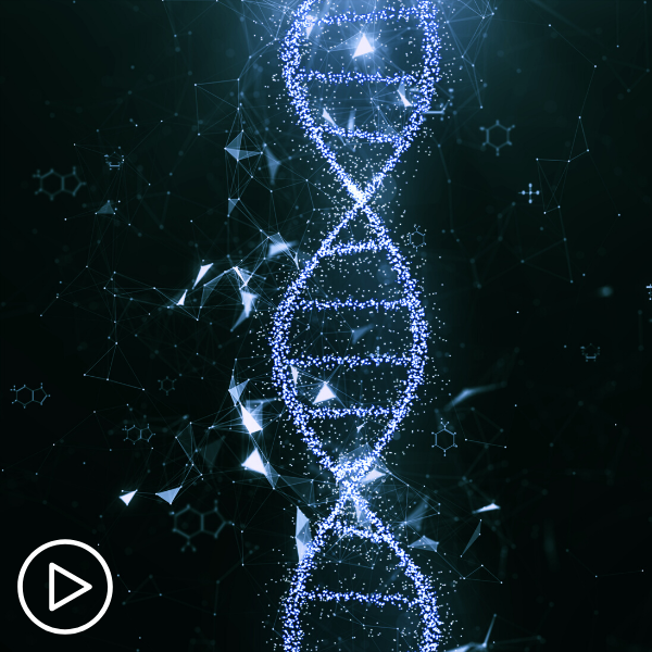 IGHV-Mutated vs IGHV-Unmutated CLL | What’s the Difference? - Patient ...